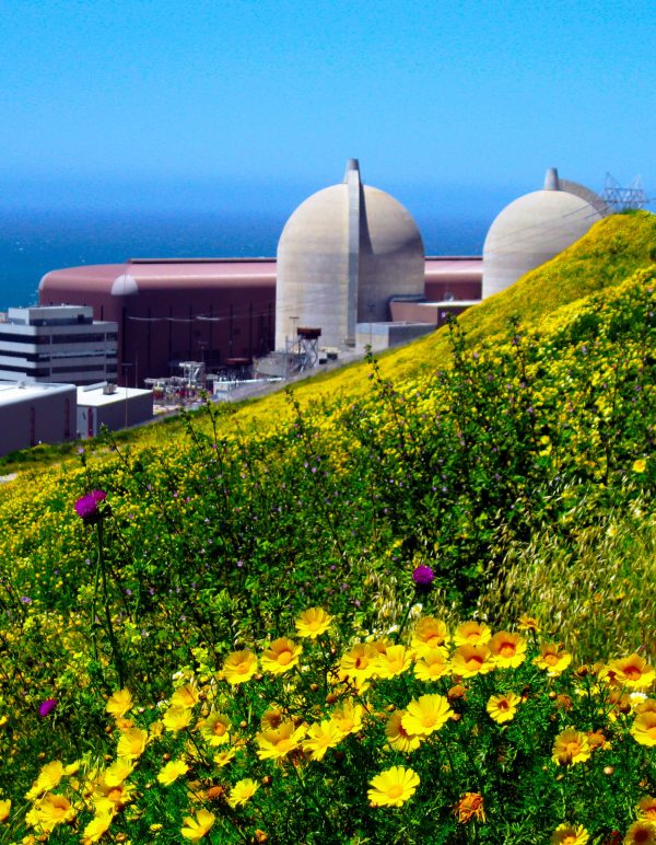 Radiological Effluents and Environmental Monitoring - Radiation Safety ...